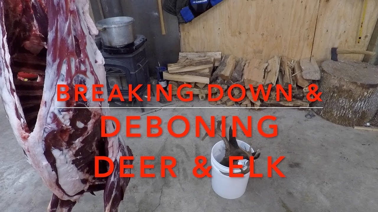 Deboning deer & elk (Easy step by step) - YouTube