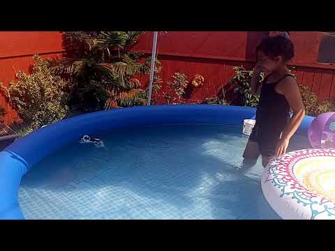 conejo bañando en piscina 😄