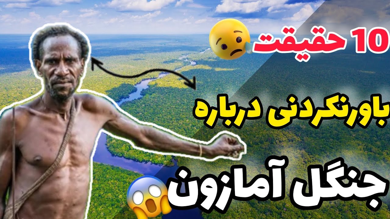جنگل آمازون حقایقی شوکه کننده درباره جنگل آمازون که شمارا شوکه میکنند