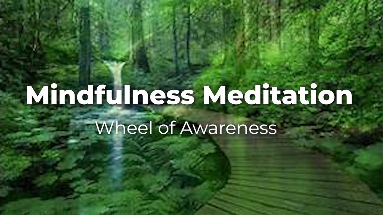 Mindfulness Meditation Video 7 Wheel of Awareness DrStem Be Encouraged ...