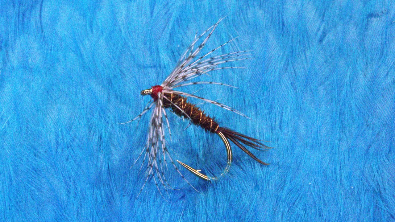 Fly Tying: The Original Endrick Spider With Martyn White - YouTube