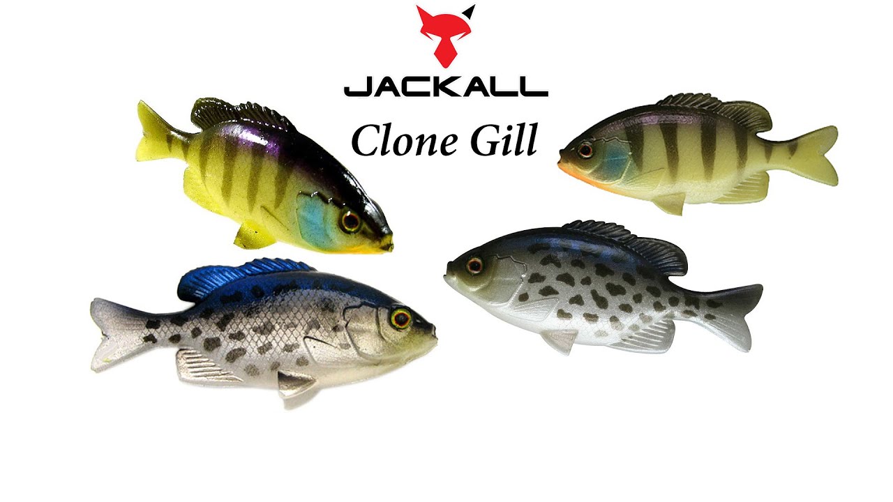 Съедобная резина Jackall Clone Gill. Отводной поводок и джиг. Underwater - YouTube