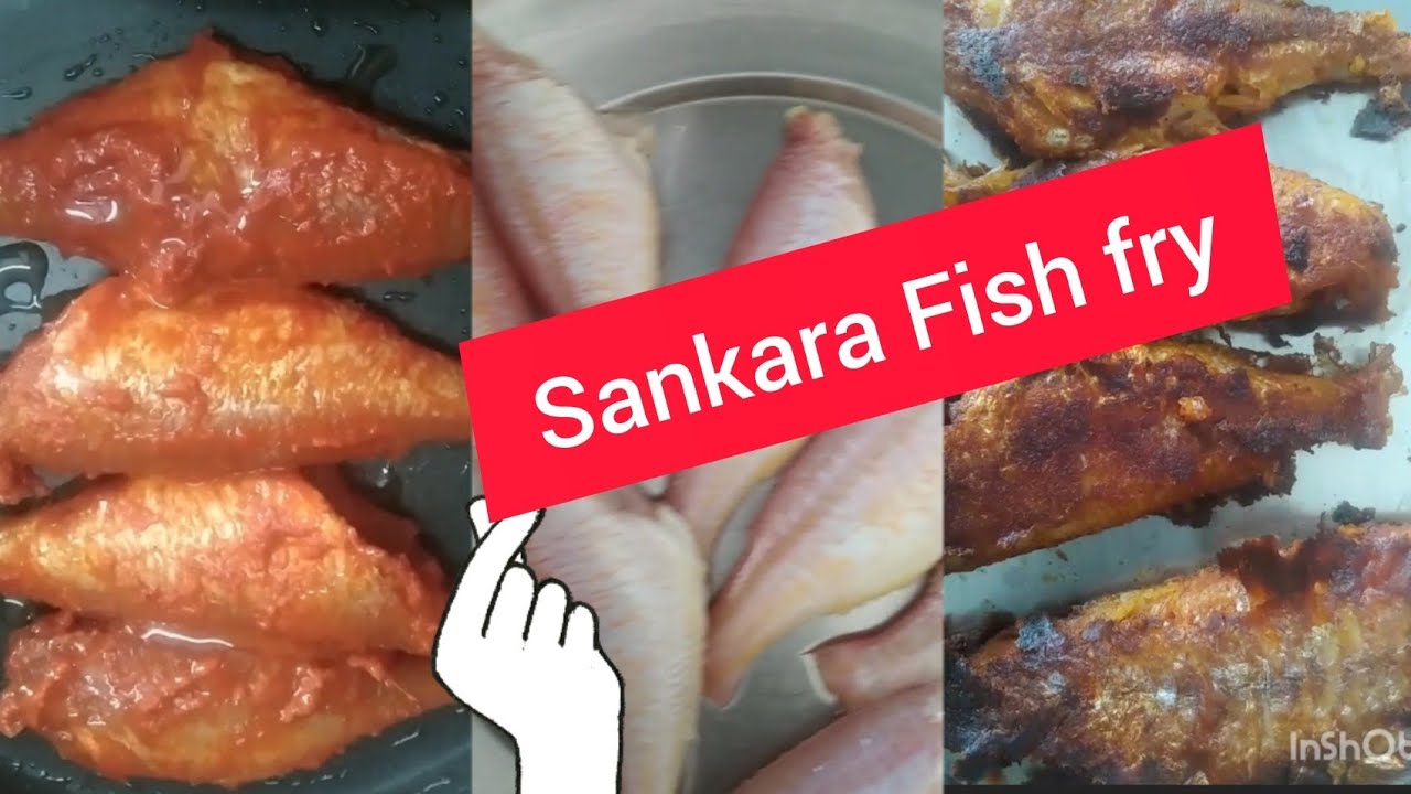 சுவையான மீன் வறுவல் செய்வது எப்படி Sankara fishfry recipe#tasty #food # ...