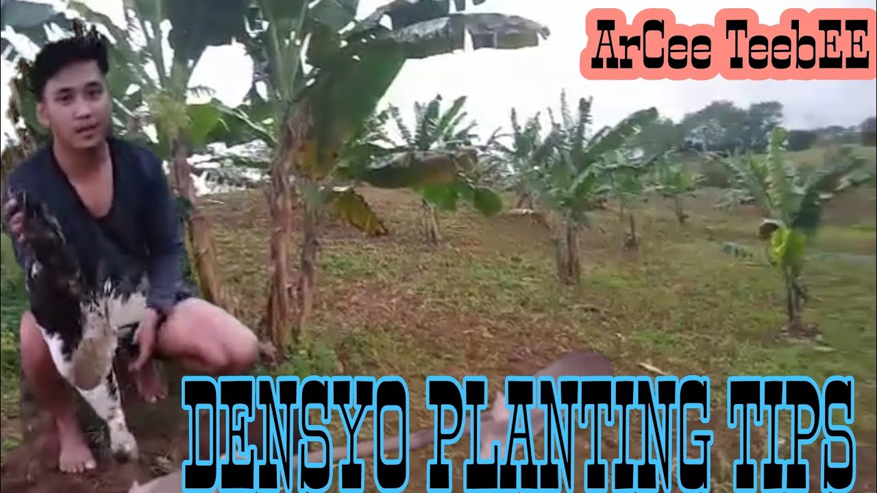 Composting Dead Animals : Dead Animals Fertizer : Dead Animals Use ...