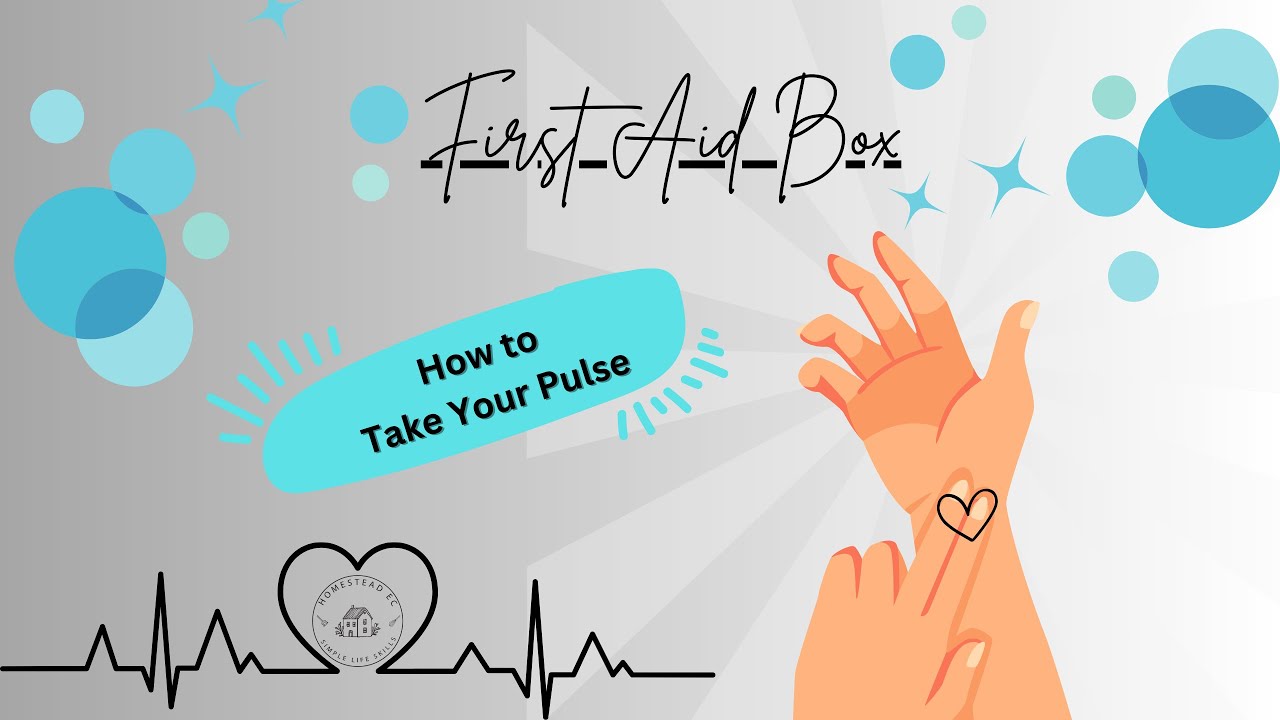 How to Take Your Pulse | Easy Heartbeat Activity for Kids - YouTube
