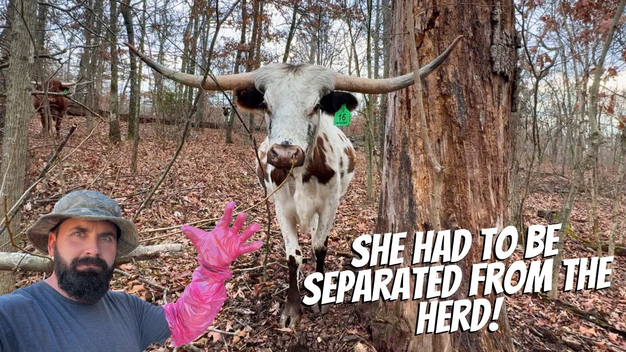 TIME TO INTERVENE! - YouTube