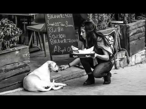 Gülümcan - Murat İşbilen (Pan / Gitar)