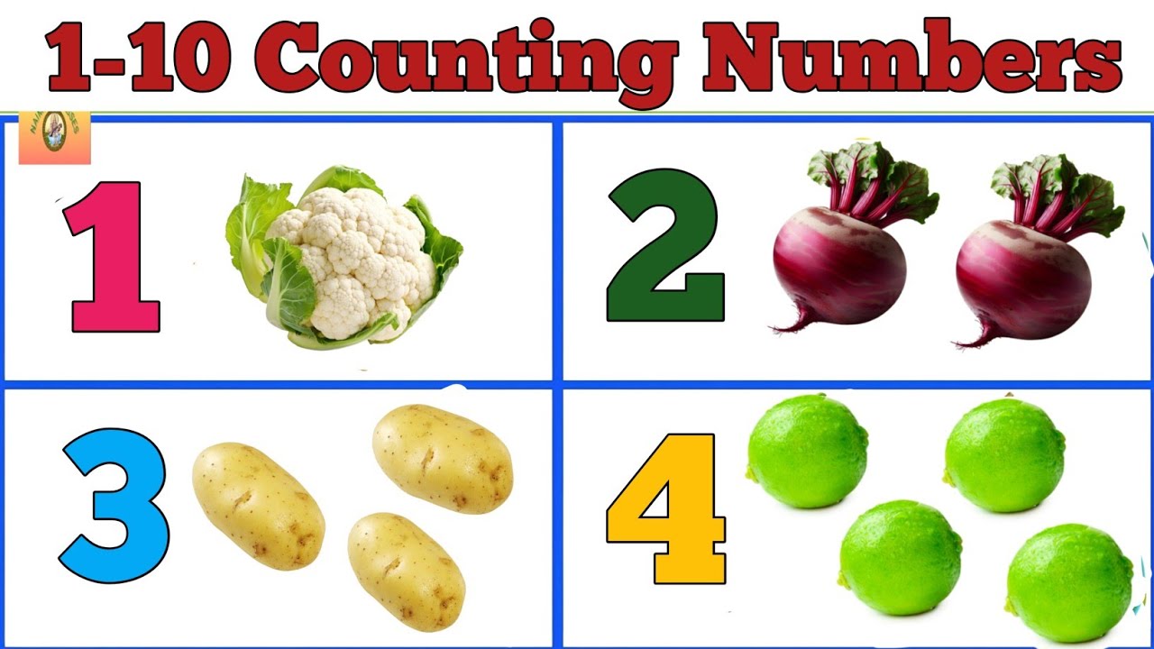 1-10 Counting numbers l Numbers Counting for kids l Counting l गिनती l ...