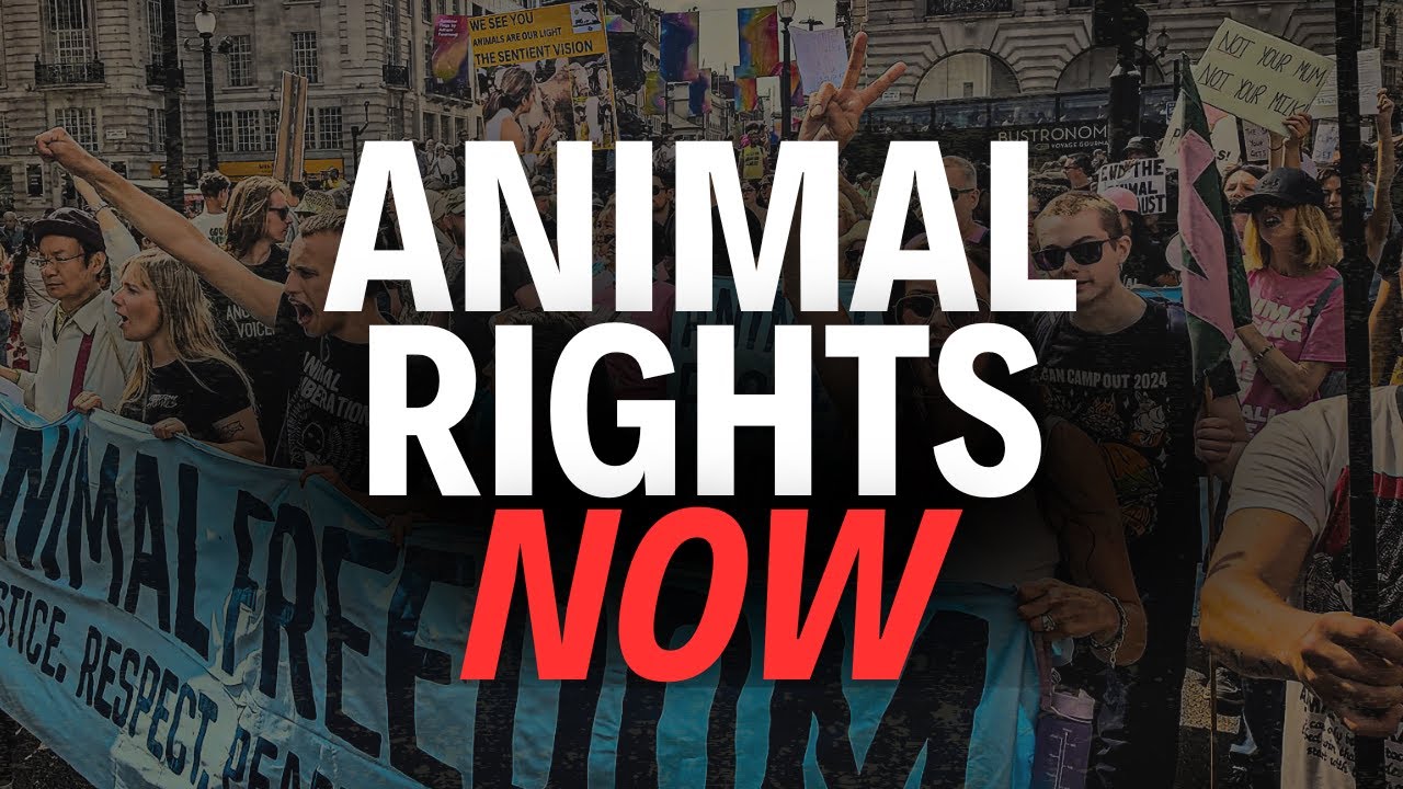 Thousands March for Animal Rights - YouTube