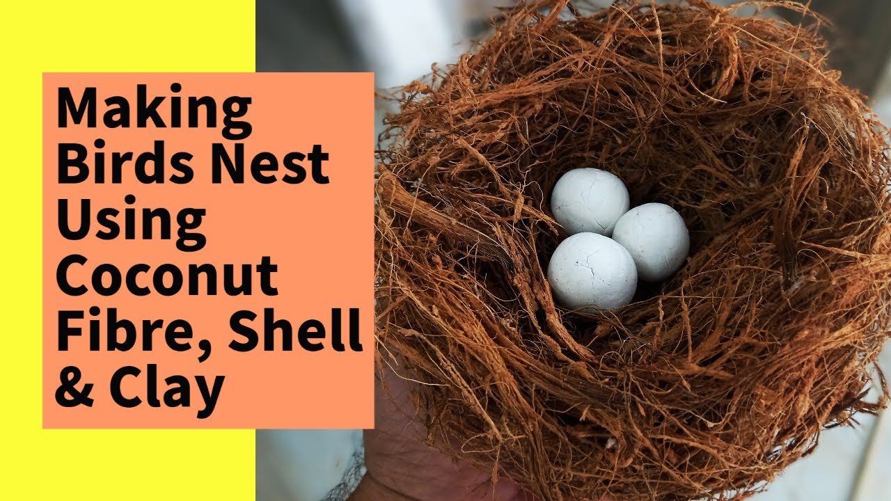 Waste Material Craft ideas | Making Birds Nest Using Coconut Fibre ...