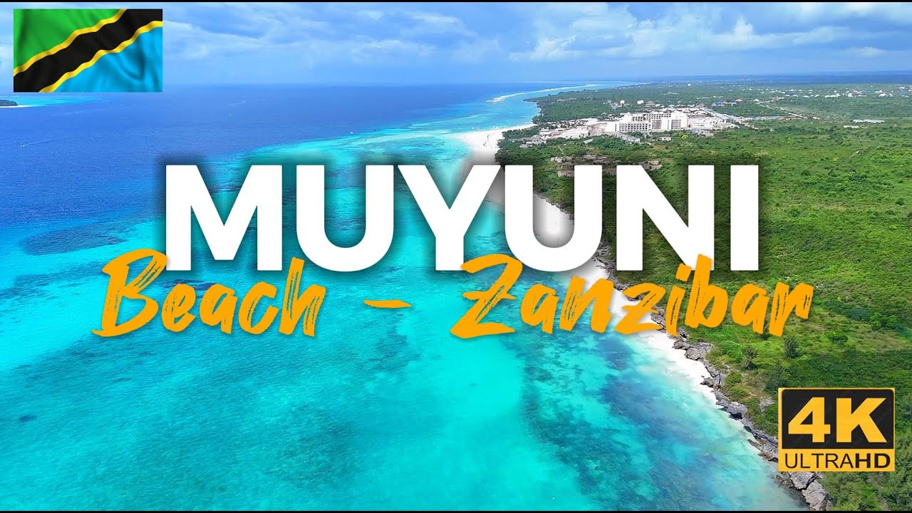 ⛱️ZANZIBAR - Muyuni Beach⛱️ 4K🚤⛱🏝 | Drone 🛶🤿🐠 - YouTube