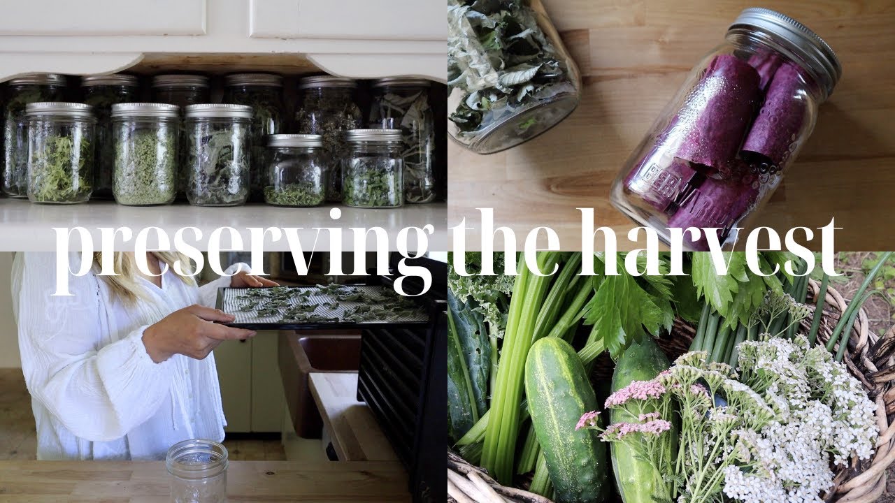 One of my FAVORITE Forms of Food Preservation | Preserving the Harvest ...