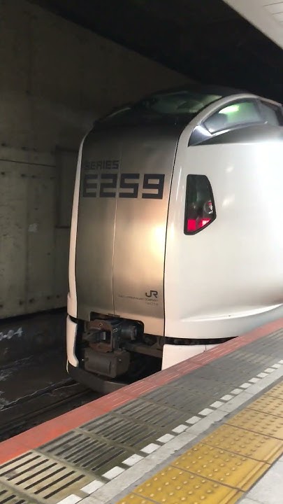 E259系成田エクスプレス号 東京駅連結切り離し 2025.2.22 ＃E259系＃成田エクスプレス＃切り離し - YouTube