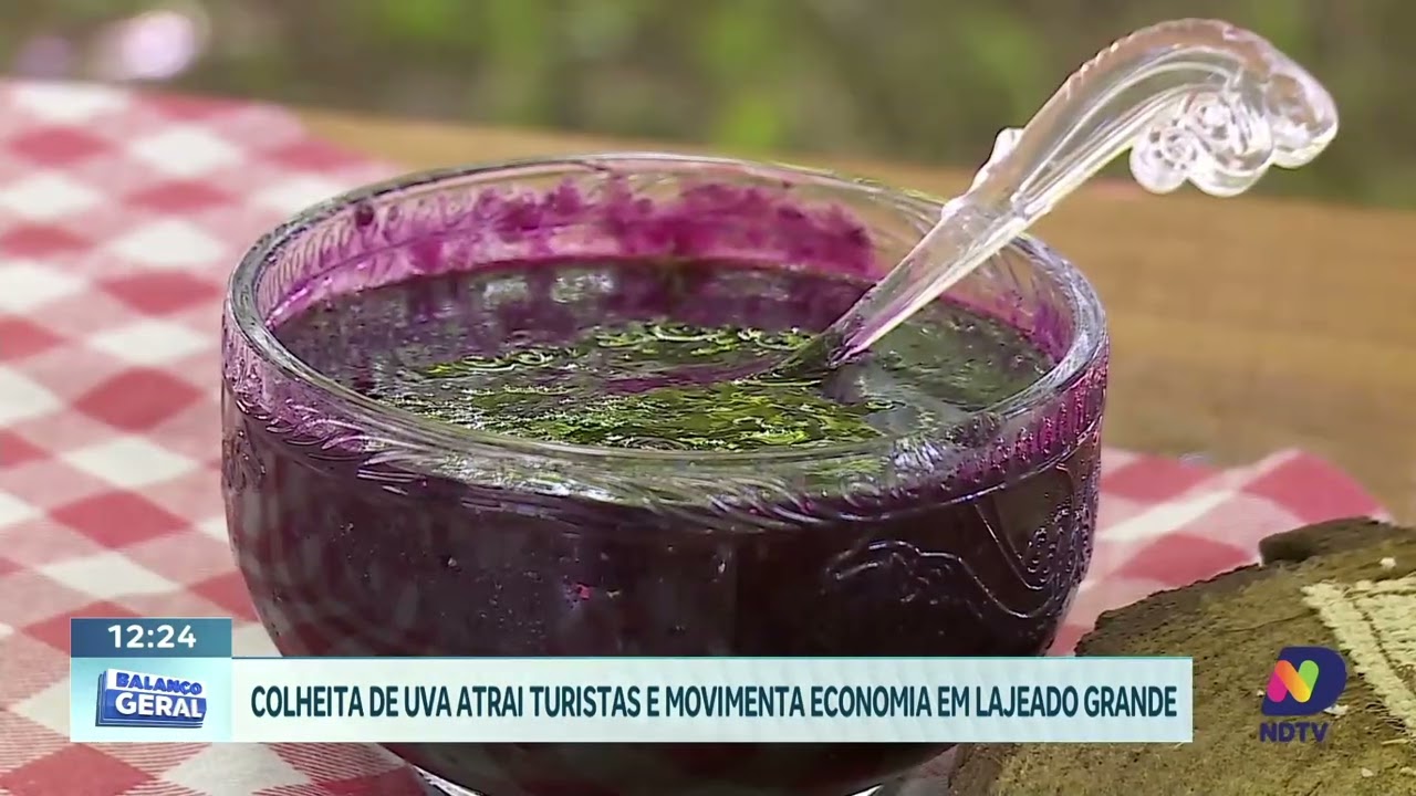 Colheita da Uva Impulsiona Economia e Turismo em Lajeado Grande