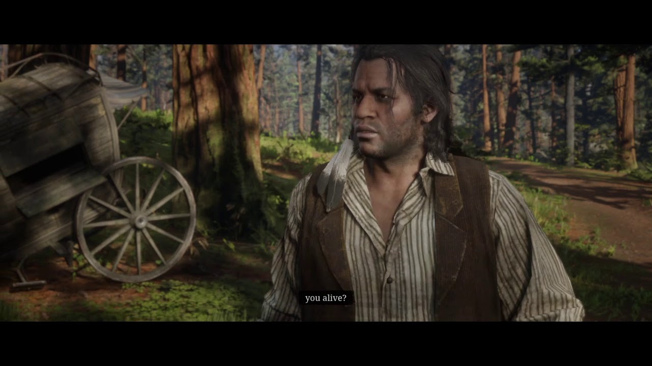Red Dead Redemption 2 - Ambushed By The Skinner Brothers... - YouTube