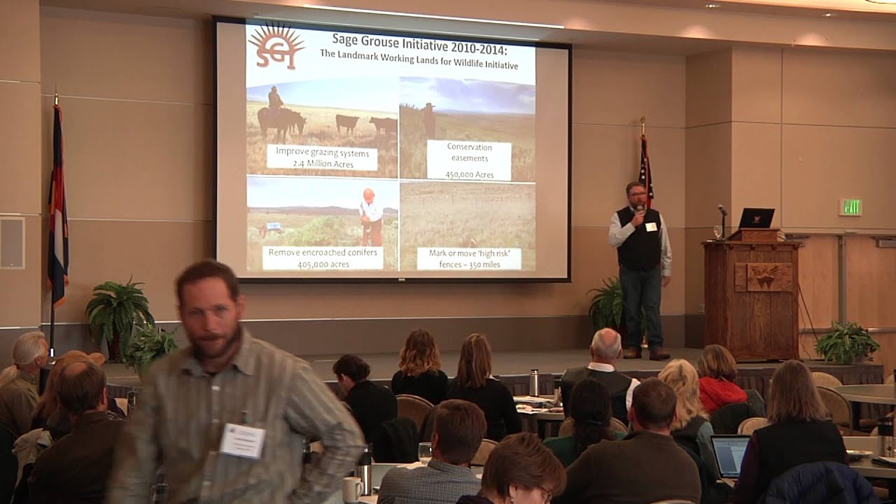 Seth Gallagher lecture at the Gunnison Sage-Grouse Summit - YouTube