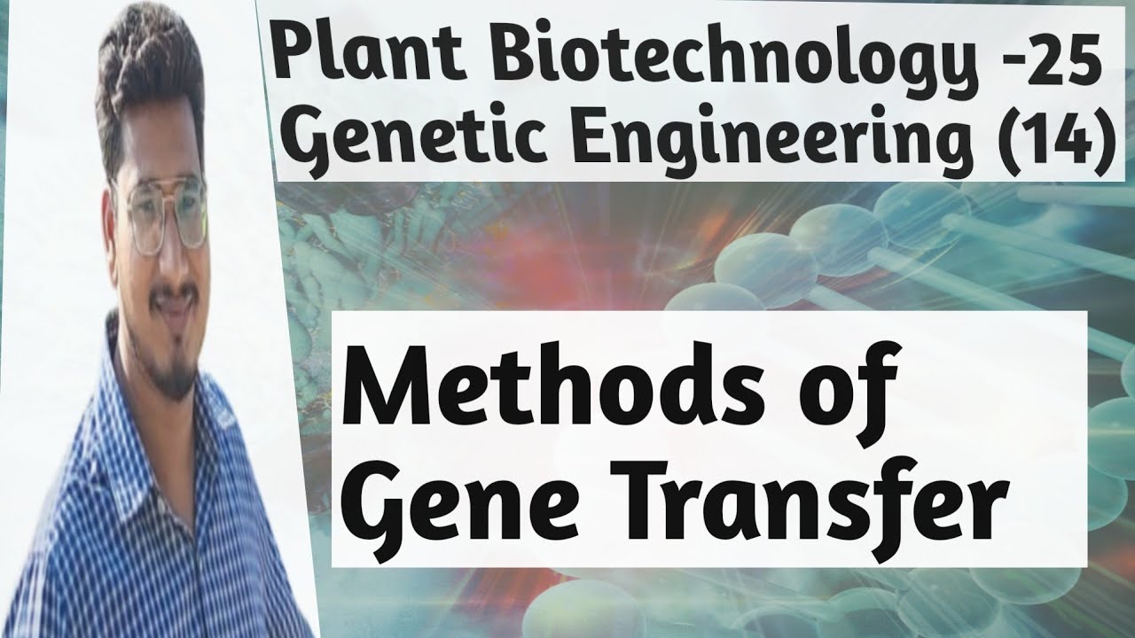 Plant Biotechnology - 25 || Gene transfer methods || Agrobacterium ...