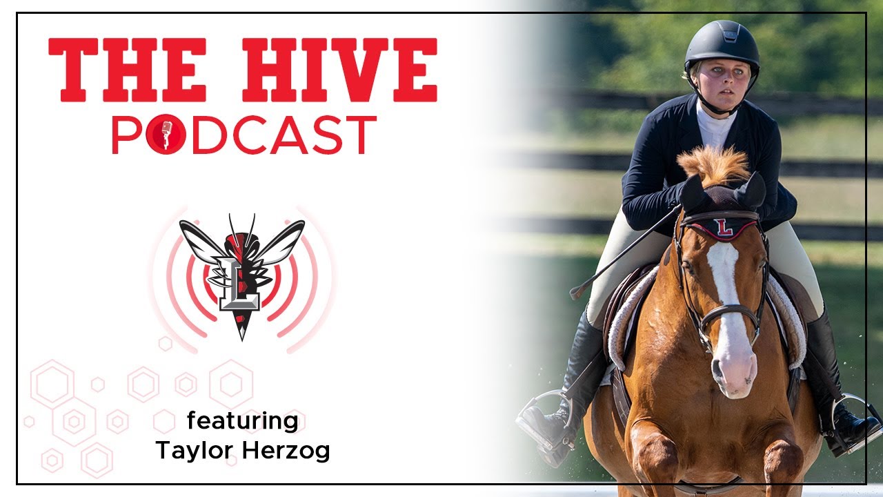 The HIVE Podcast: Taylor Herzog - YouTube