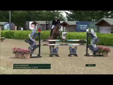 Kindependence (Zavall) 6yo mare