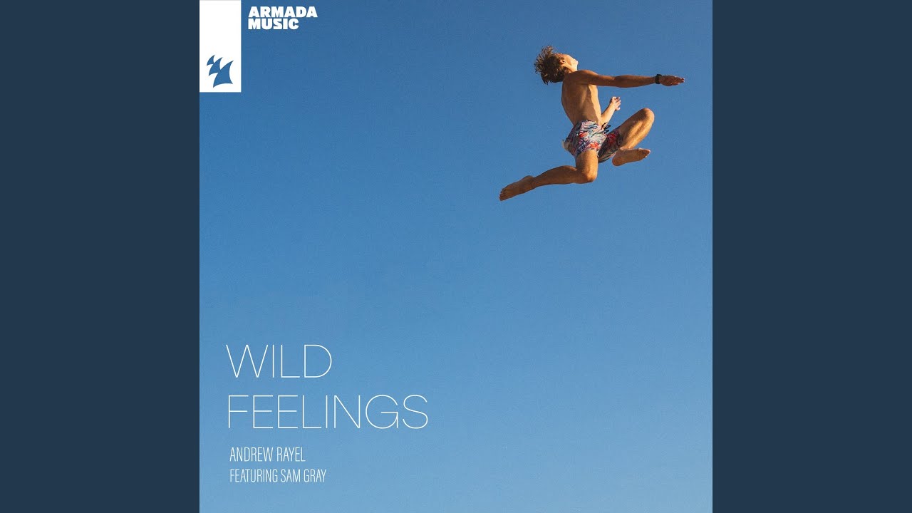 Wild Feelings (Extended Mix) - YouTube