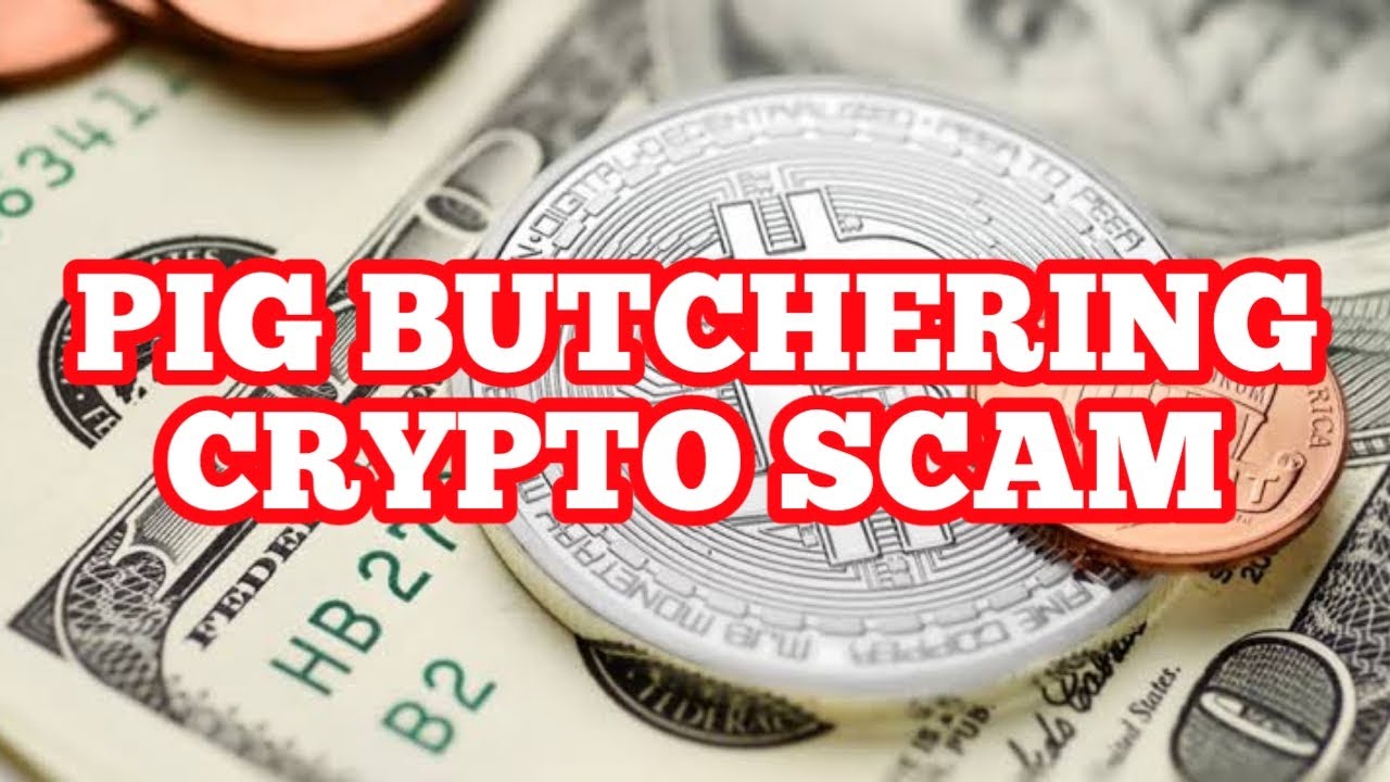 US AUTHORITIES ISSUE A WARNING REGARDING THE ALARMINGLY POPULAR 'PIG ...