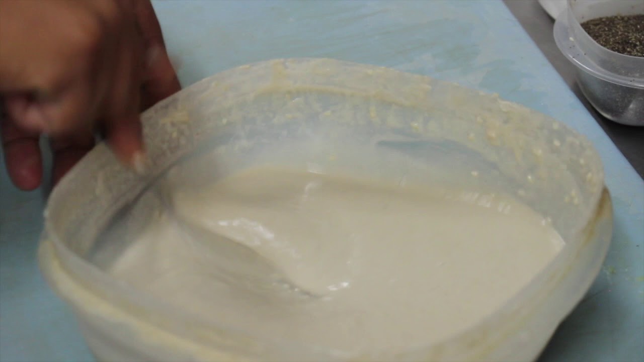 Del Mar al Plato: Almeja Generosa - YouTube