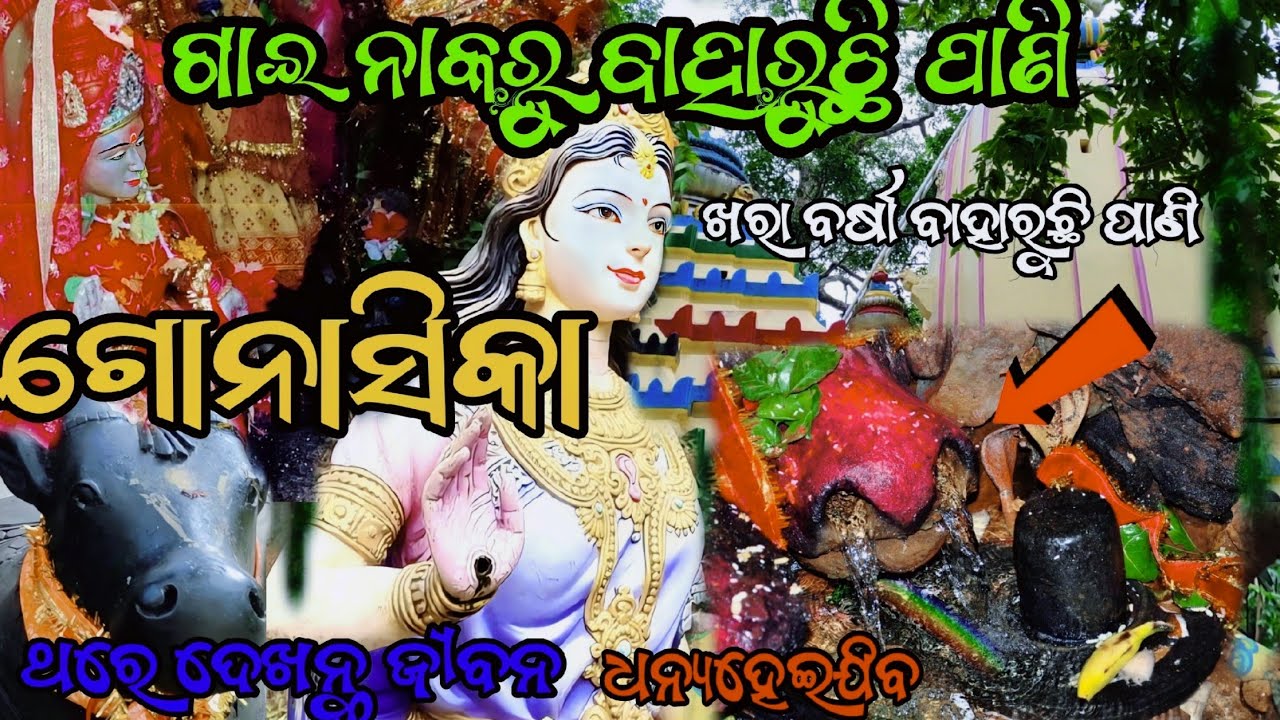 Gonasika//Guptaganga //The origin of baitarani river keojhar - YouTube