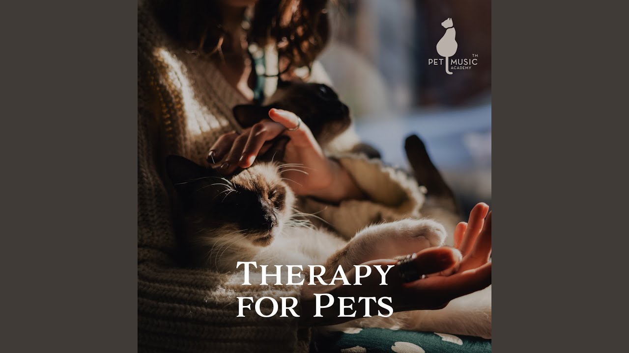 Dogs and Cats Spa Time - YouTube