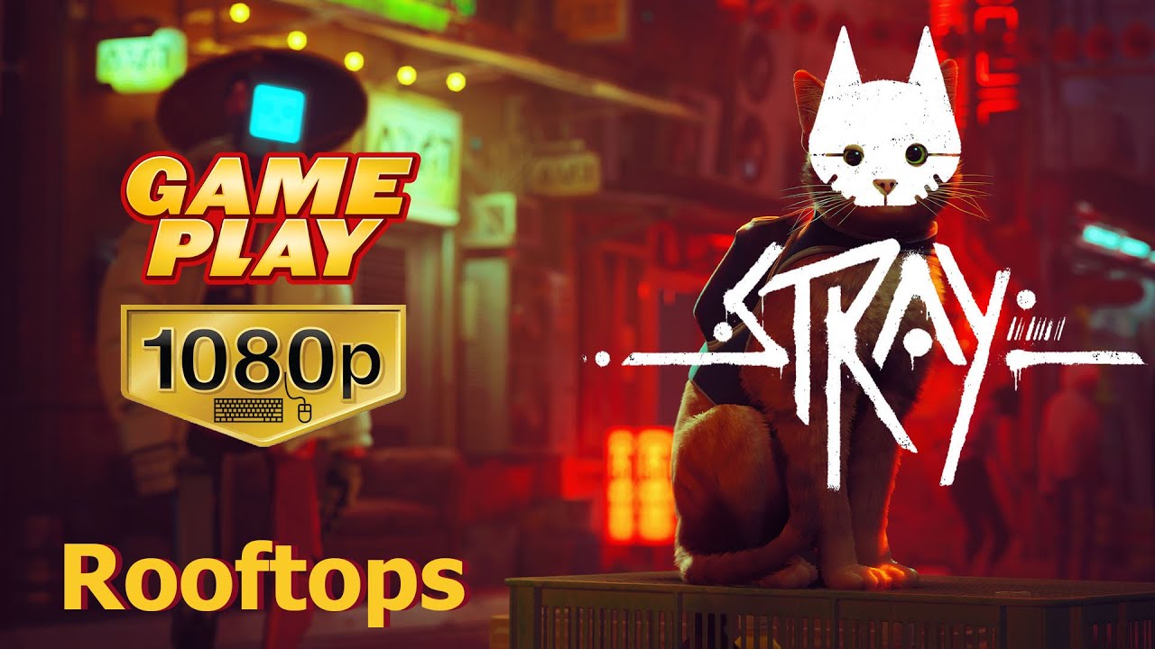 STRAY Gameplay | Rooftops - YouTube