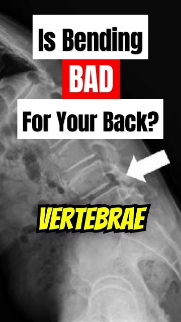 Is Bending BAD for Your Lower Back? - YouTube
