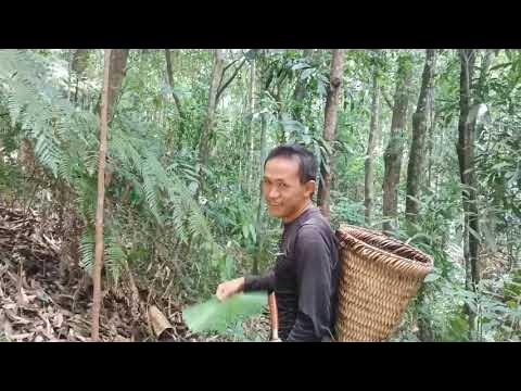 June,23-2023. Yawm yij yawm dab mus saib nceb - YouTube