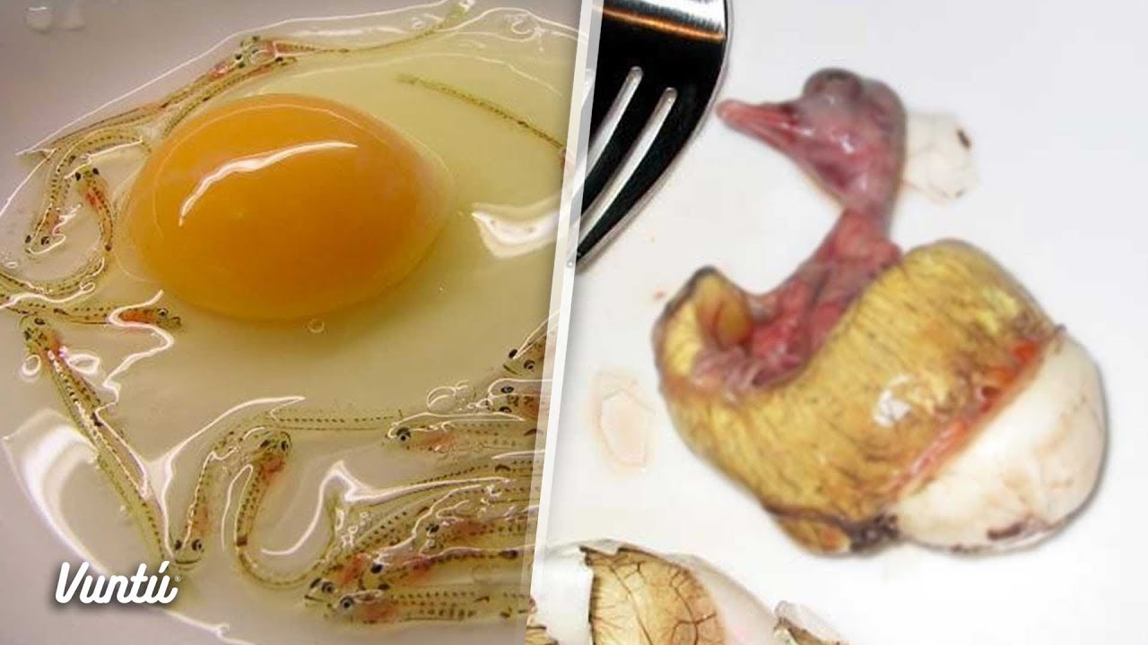 Las 8 comidas más asquerosas del mundo - YouTube