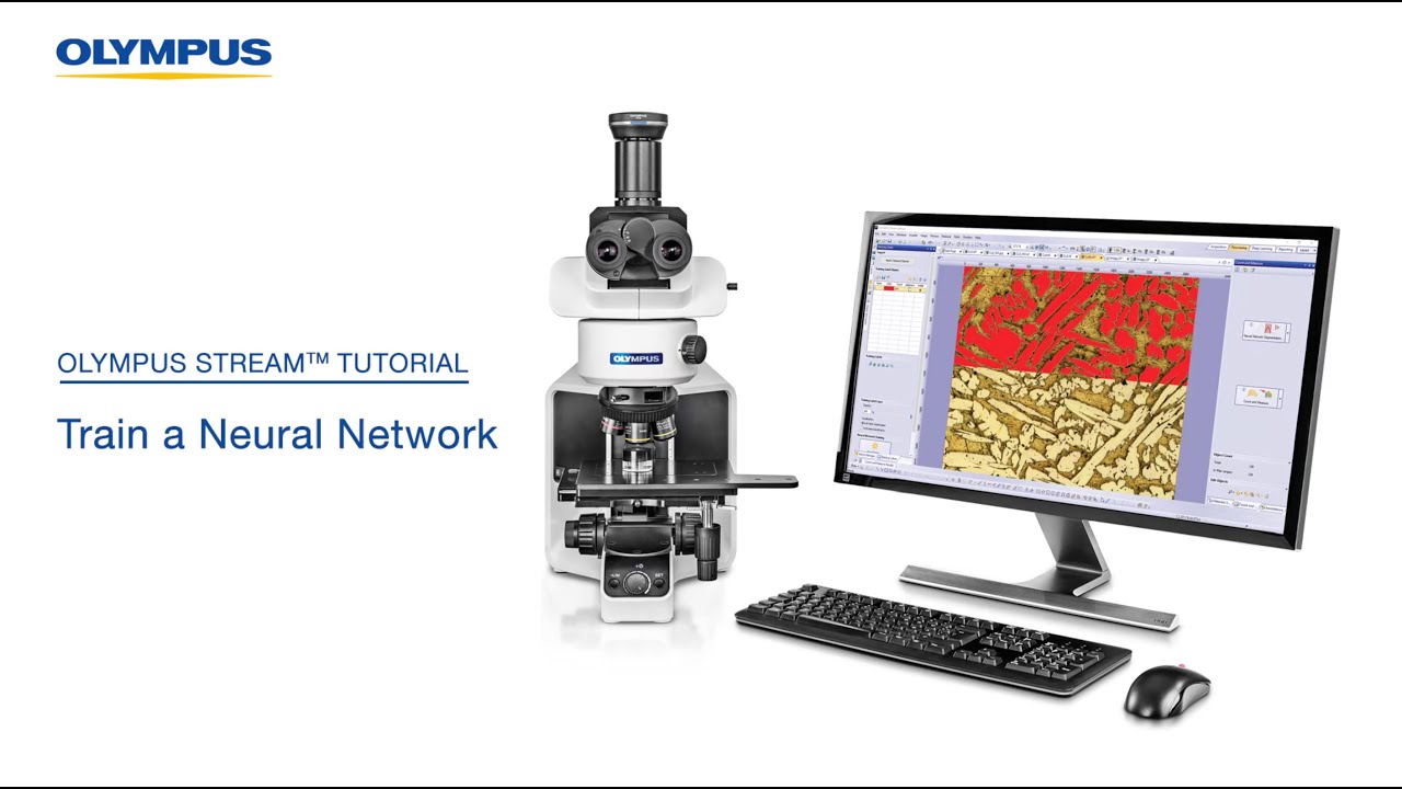 How to Train a Neural Network in OLYMPUS Stream™ Software - YouTube