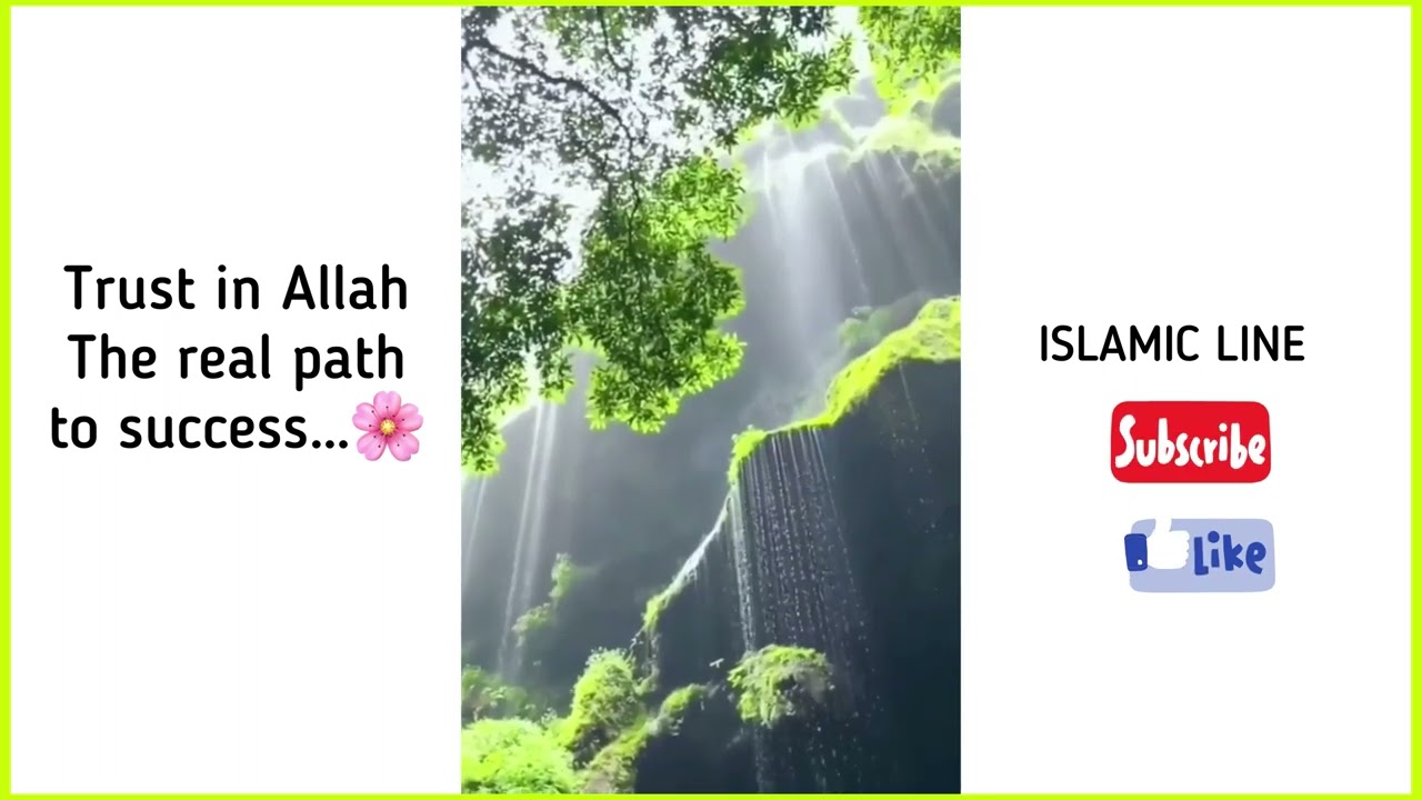 Real Path To Success