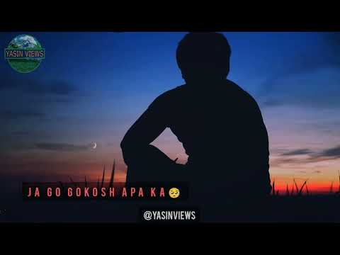 Brushaski song status Yasin views