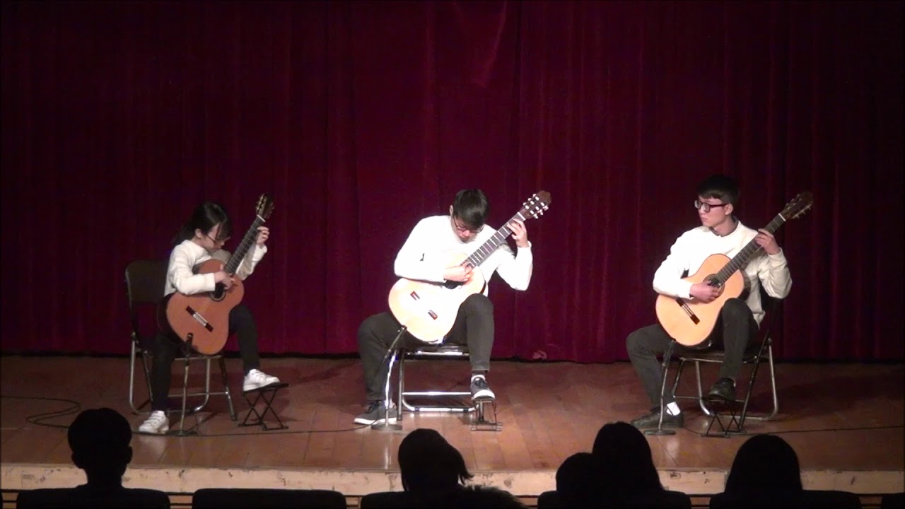 Piano sonata No.8 'Pathetique' 2nd mvt. - L.V. Beethoven (Guitar Trio ...