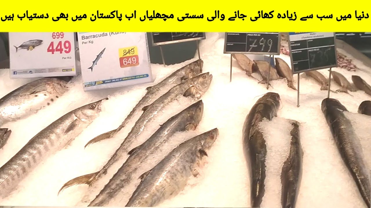 World Tasty sea Fishes | Cheap fish in pakistan | پاکستان میں سب سے ...