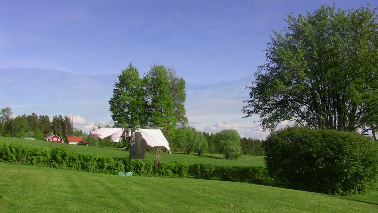 Cobra - Ellert Nordmark - YouTube Music