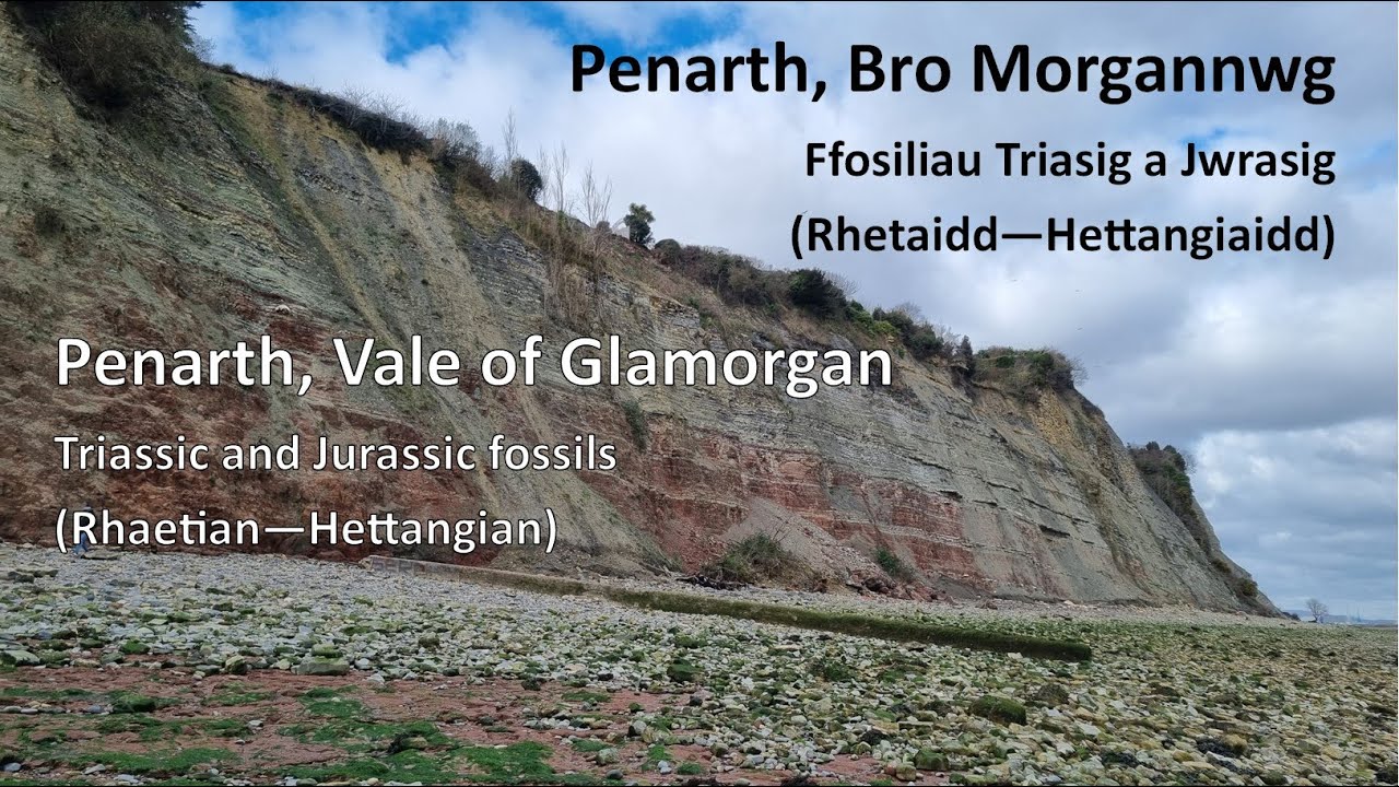 Ffosiliau Penarth (Penarth Fossils) - YouTube