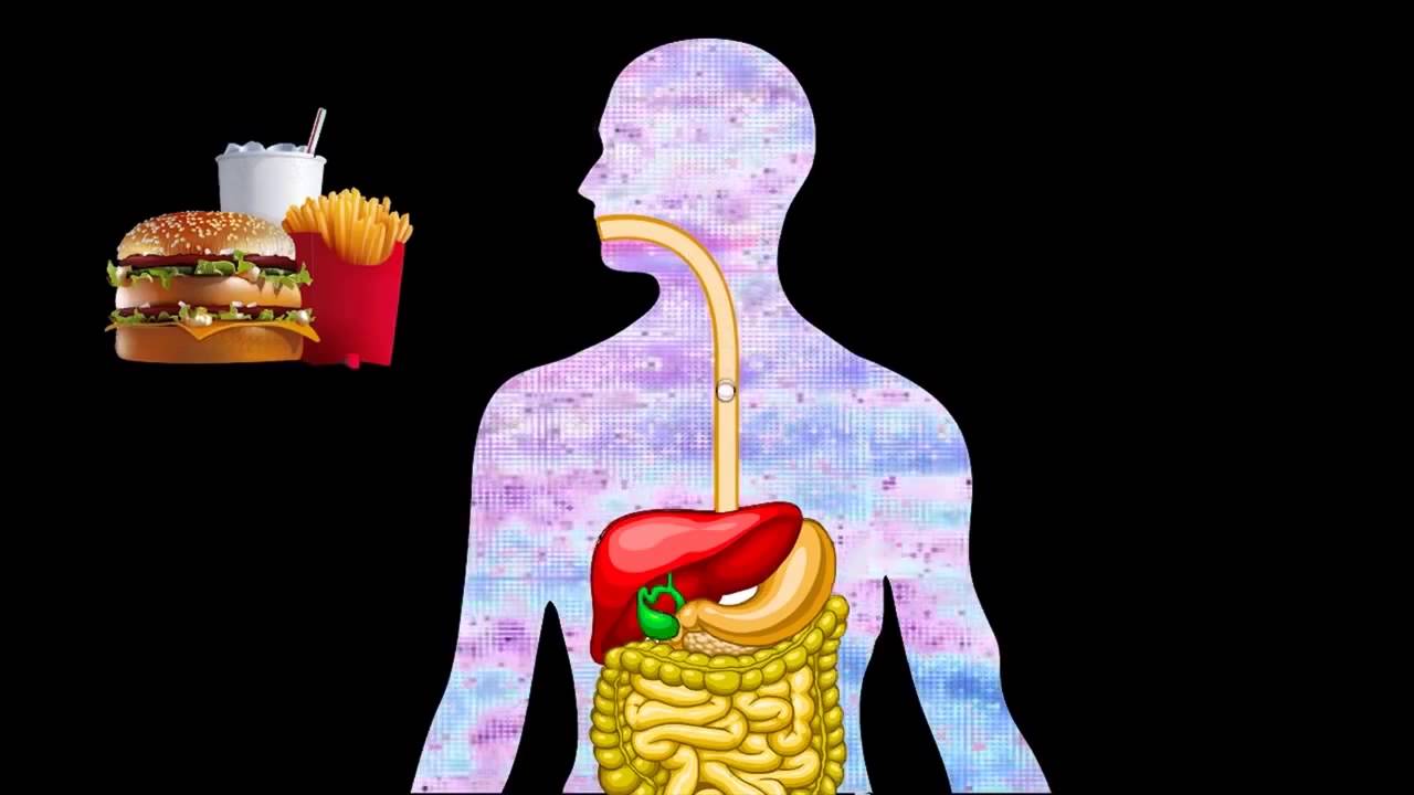 The Science of Essential Nutrients - YouTube