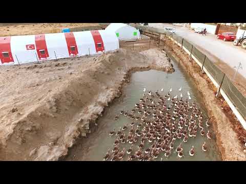 ÇAMSARI KARADİLLİ GÖLETİ / KIRIKHAN