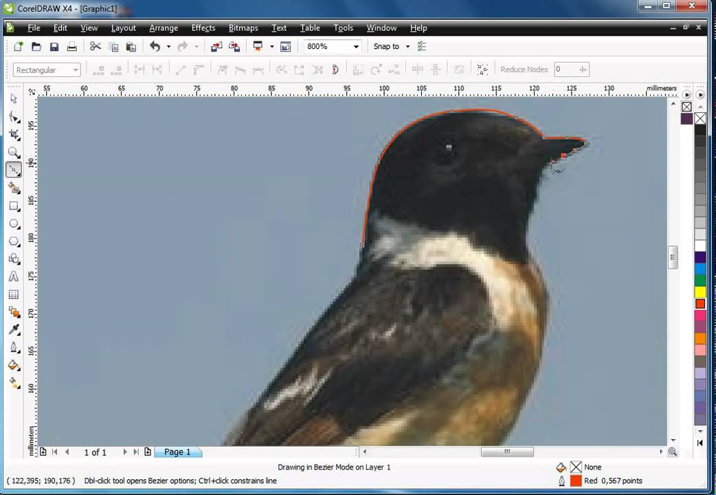 Corel Draw - bird vector - YouTube