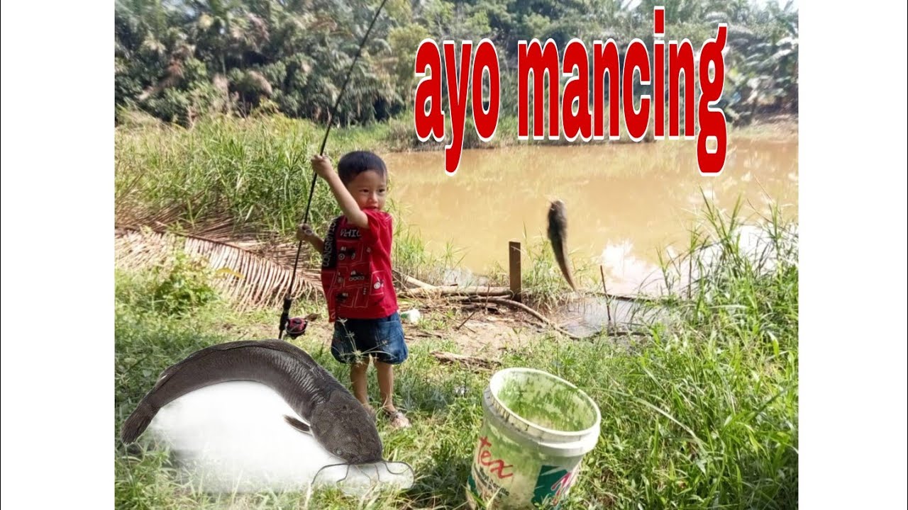 ayo mancing - YouTube