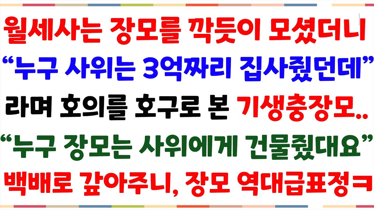 반전사이다사연월세사는 시모가 불쌍해 깍듯이 모셨더니 누구 사위는 3억집사줬다며 호의를 호구로 본 장모백배로 갚아줬더니