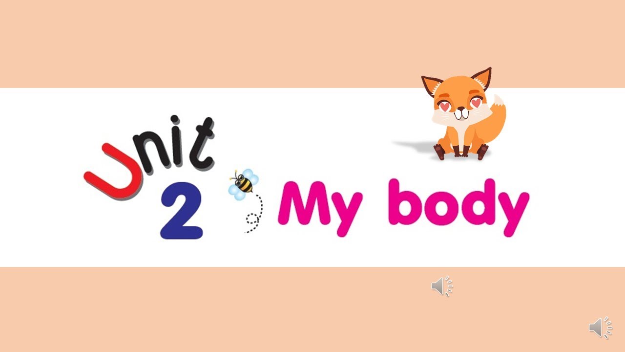 Unit 2 My body (การใช้ a/an) - YouTube