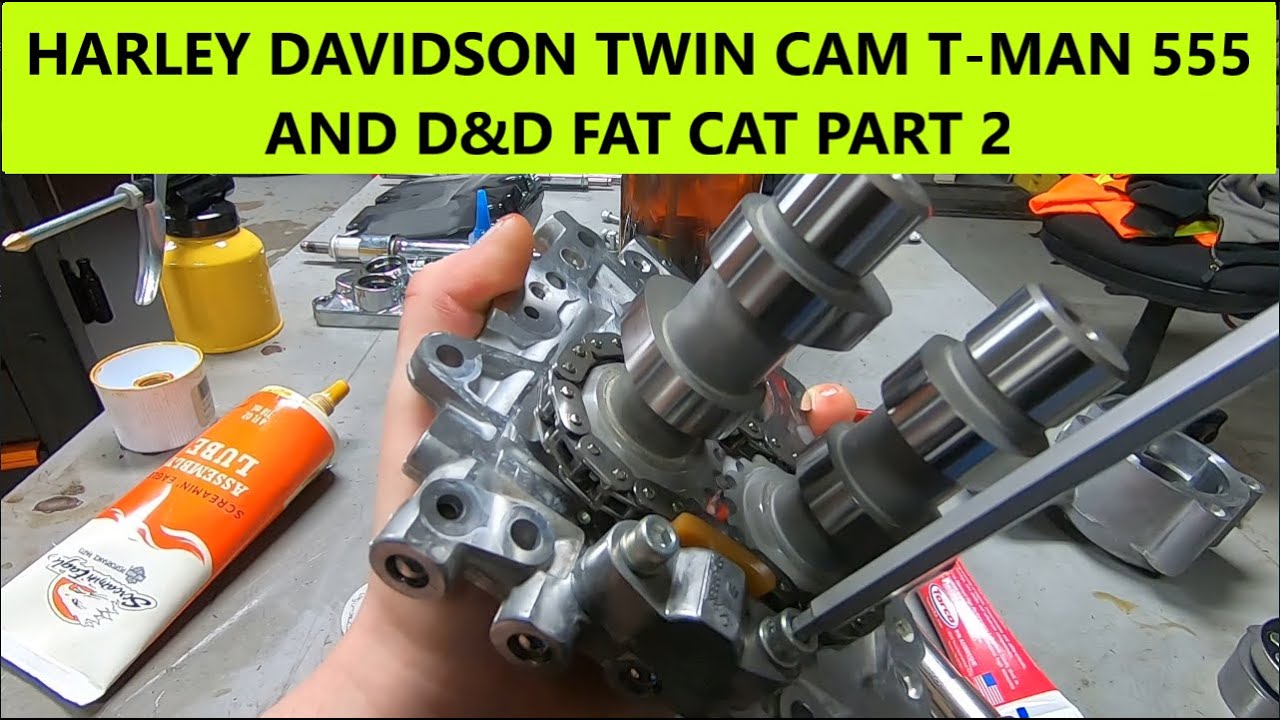 HARLEY DAVIDSON TWIN CAM T-MAN 555 AND D&D FAT CAT STAGE 2 PART 2 - YouTube