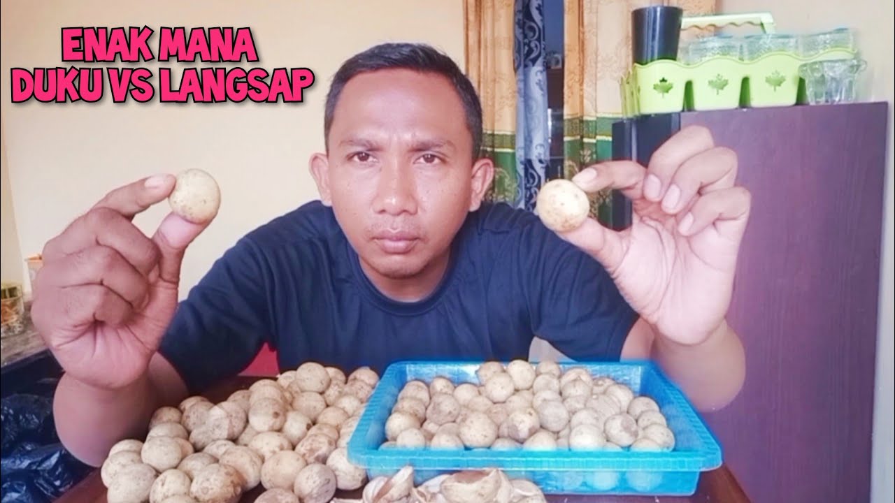 PERBEDAAN BUAH DUKU SAMA BUAH LANGSAP - YouTube