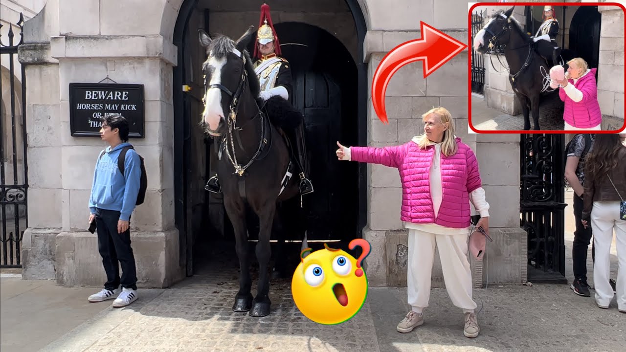 “SILLY” Tourist did not expect this to happen when touching the horse ...