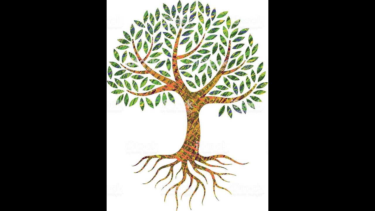 BJJ365 - August 9, 2018 - Posture, Rooting, Tai Chi - YouTube