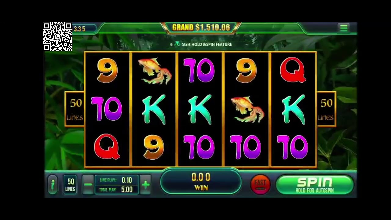 Dragon Slaughter online gaming platform, fish and slot 777, Luck of ...